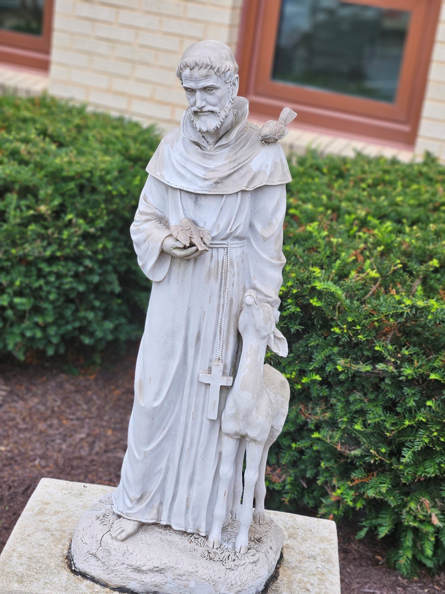 Blessing of the Pets : Saint Veronica Catholic Church